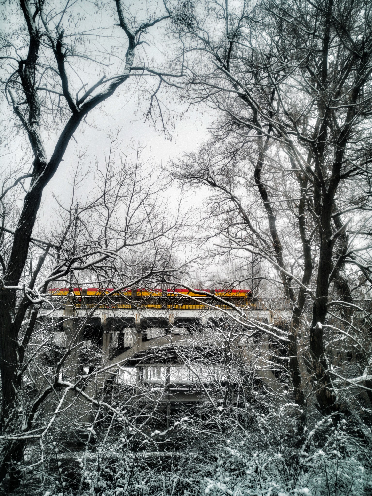 Zimowa edycja konkursu fotograficznego – wyróżnienia – Veolia – Energia ...